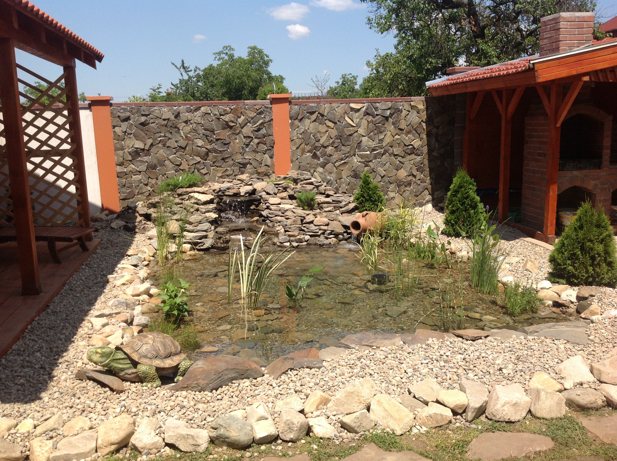 Secretele unei mentenanțe optime pentru iazurile de grădină – Iazuri si Acvarii Profesionale