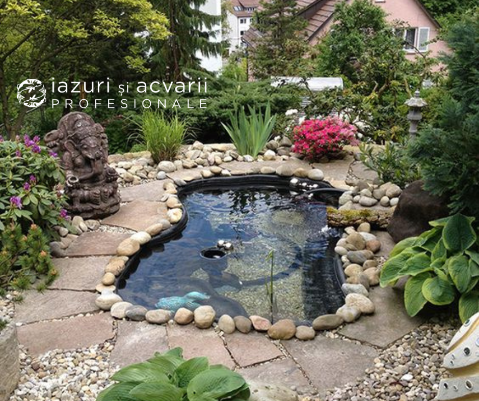 Transformă-ți grădina într-un paradis natural - Ghid complet pentru am – Iazuri si Acvarii ...