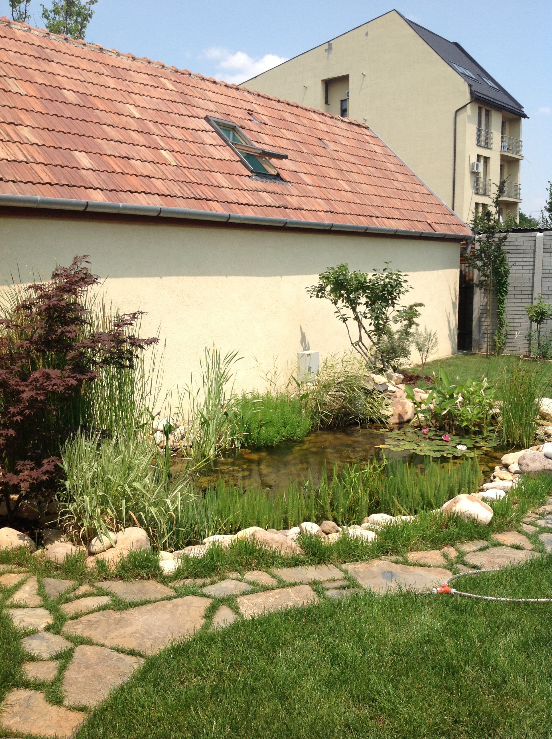 Pas cu Pas: Cum să Construiești un Iaz Durabil în Grădina Ta – Iazuri ...